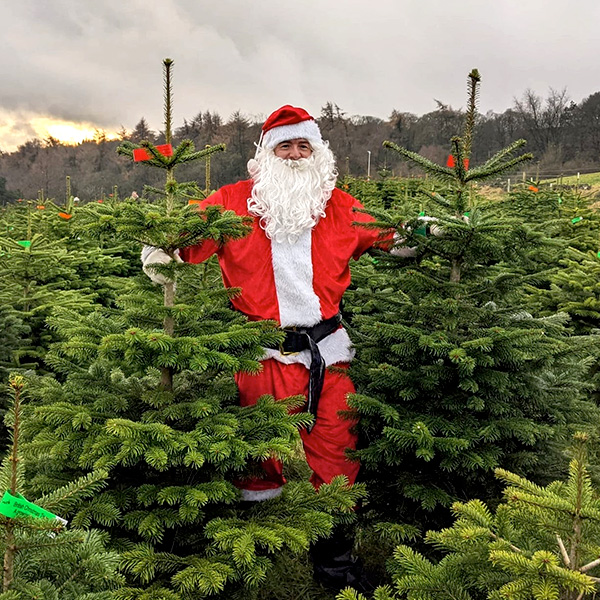 Sheffield Christmas Tree Farm - Pick your own!